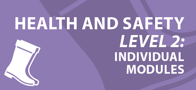 E-Learning - Level 2 Health and Safety Modules — Hawkhill Training Services